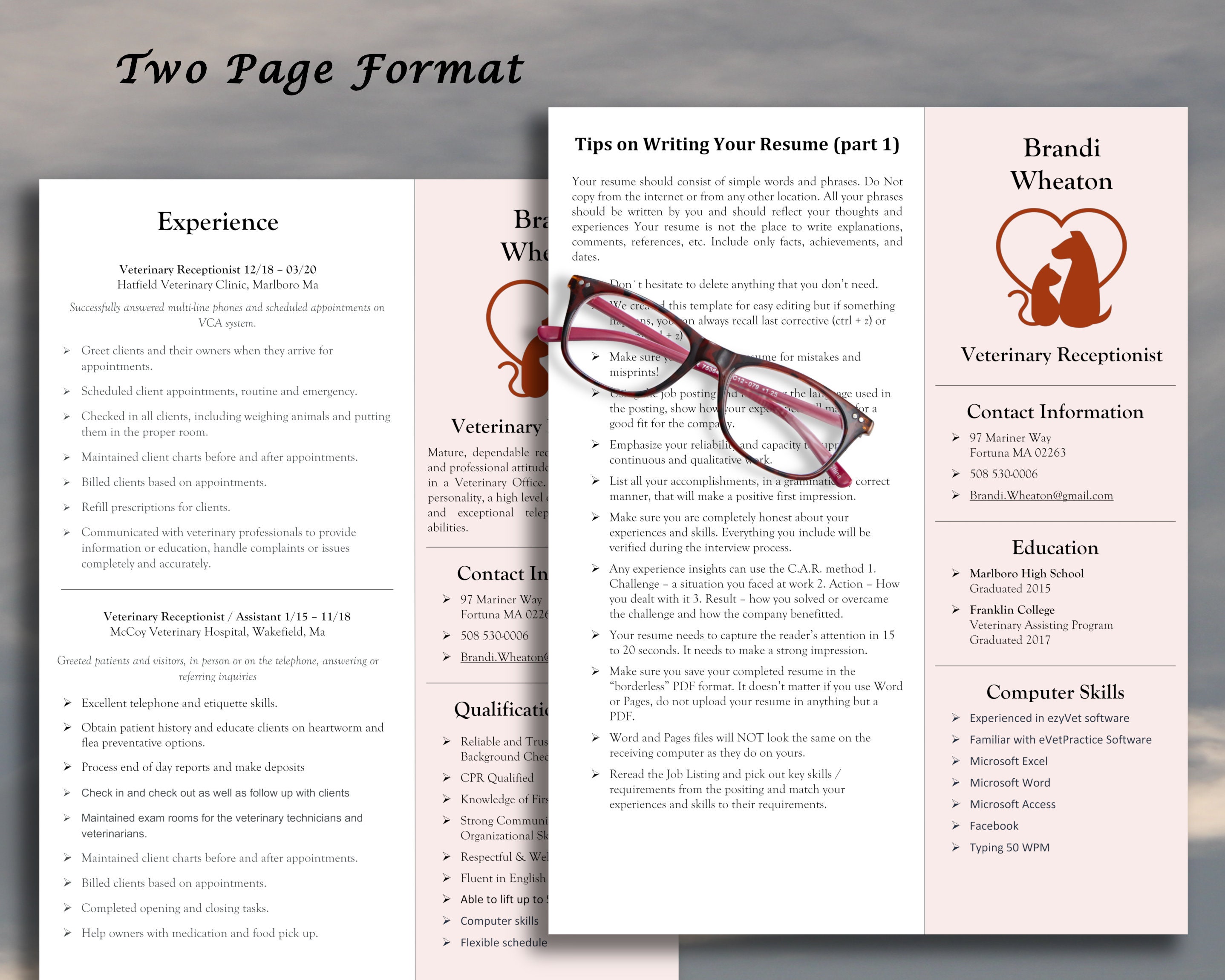 Veterinary Receptionist/vet Assistant Resume Template W Successful Real ...