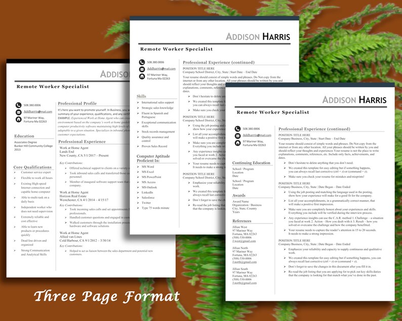 Remote Worker/work From Home Specialist Resume Template With Successful ...