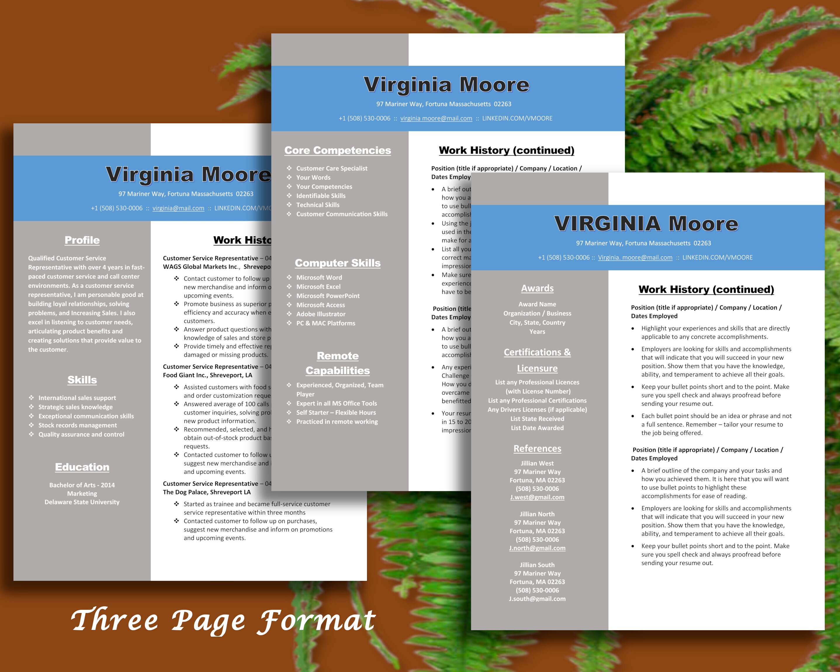 Customer Service, Remote Worker Resume Template W Successful Real World ...