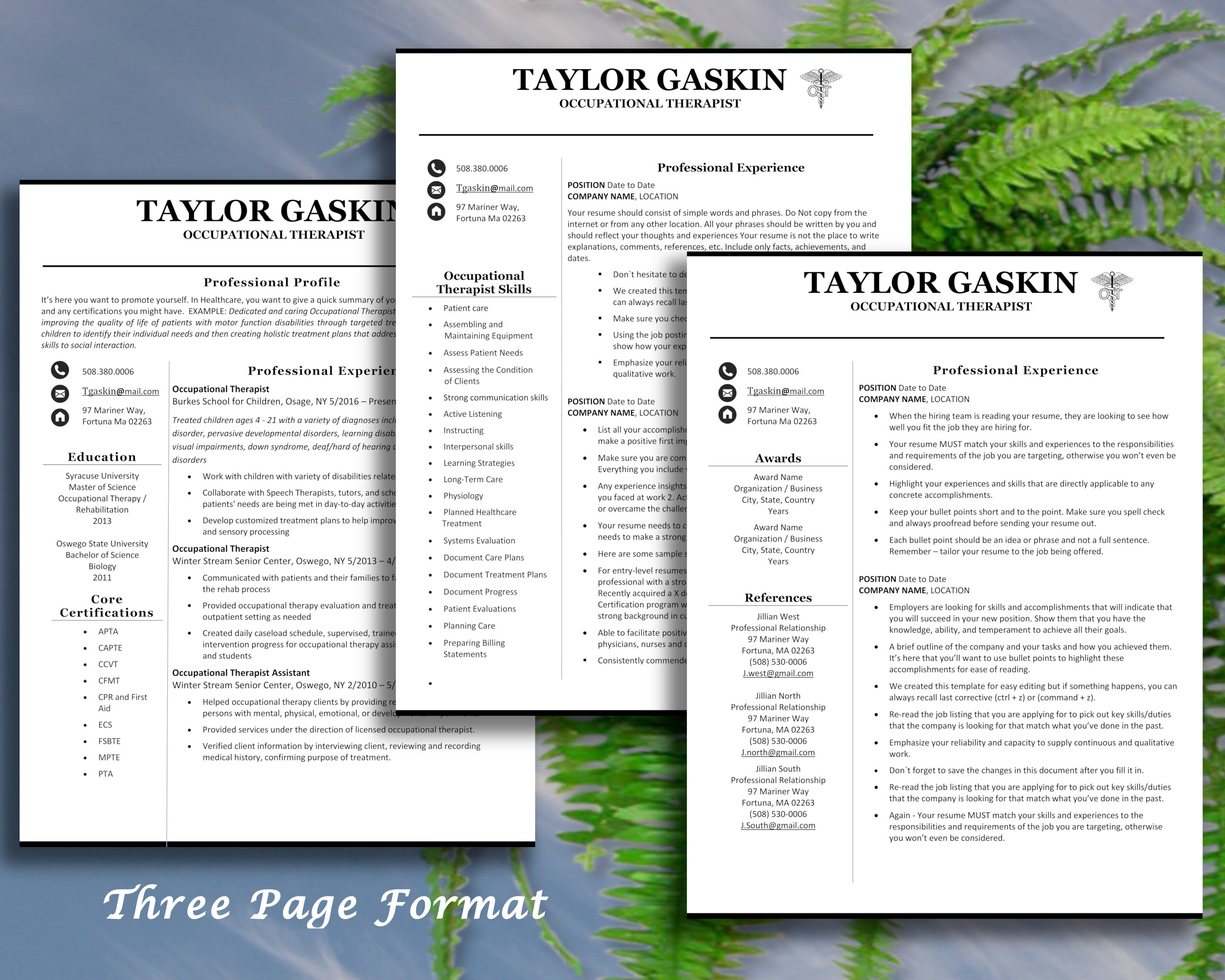 Occupational Therapist Resume Template: Real-world Examples (instant ...