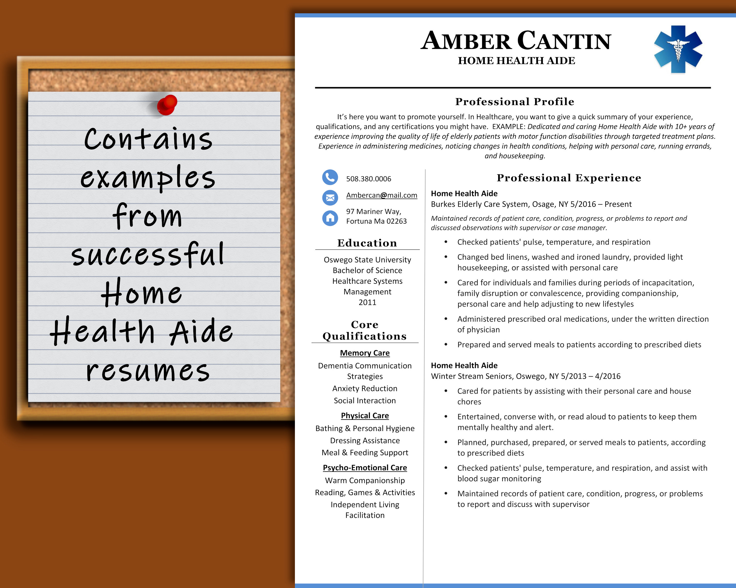 Companion Caregiver Resume