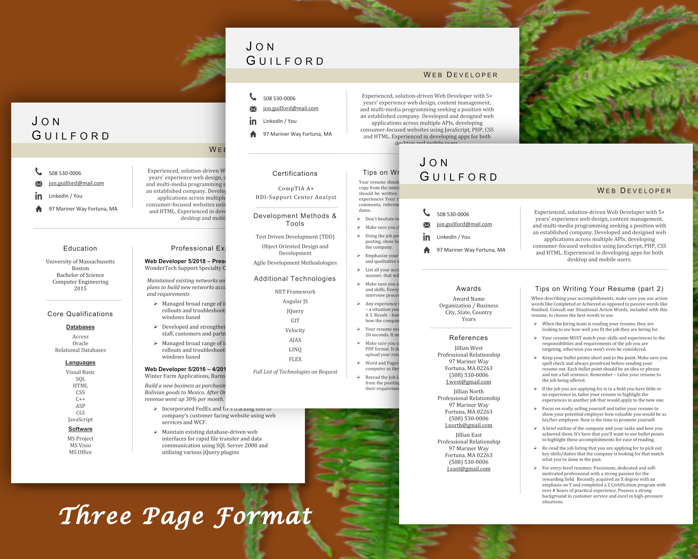 Web Site Developer Resume Template With Successful Real World Resume ...