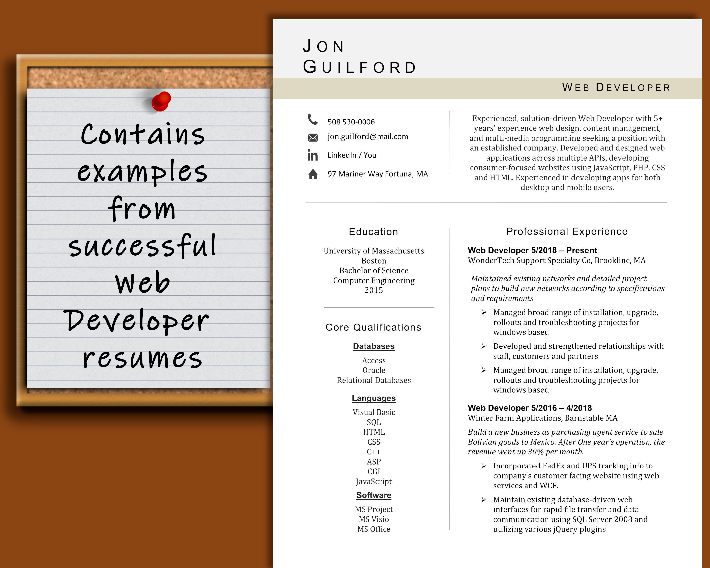Web Designer Resume Examples