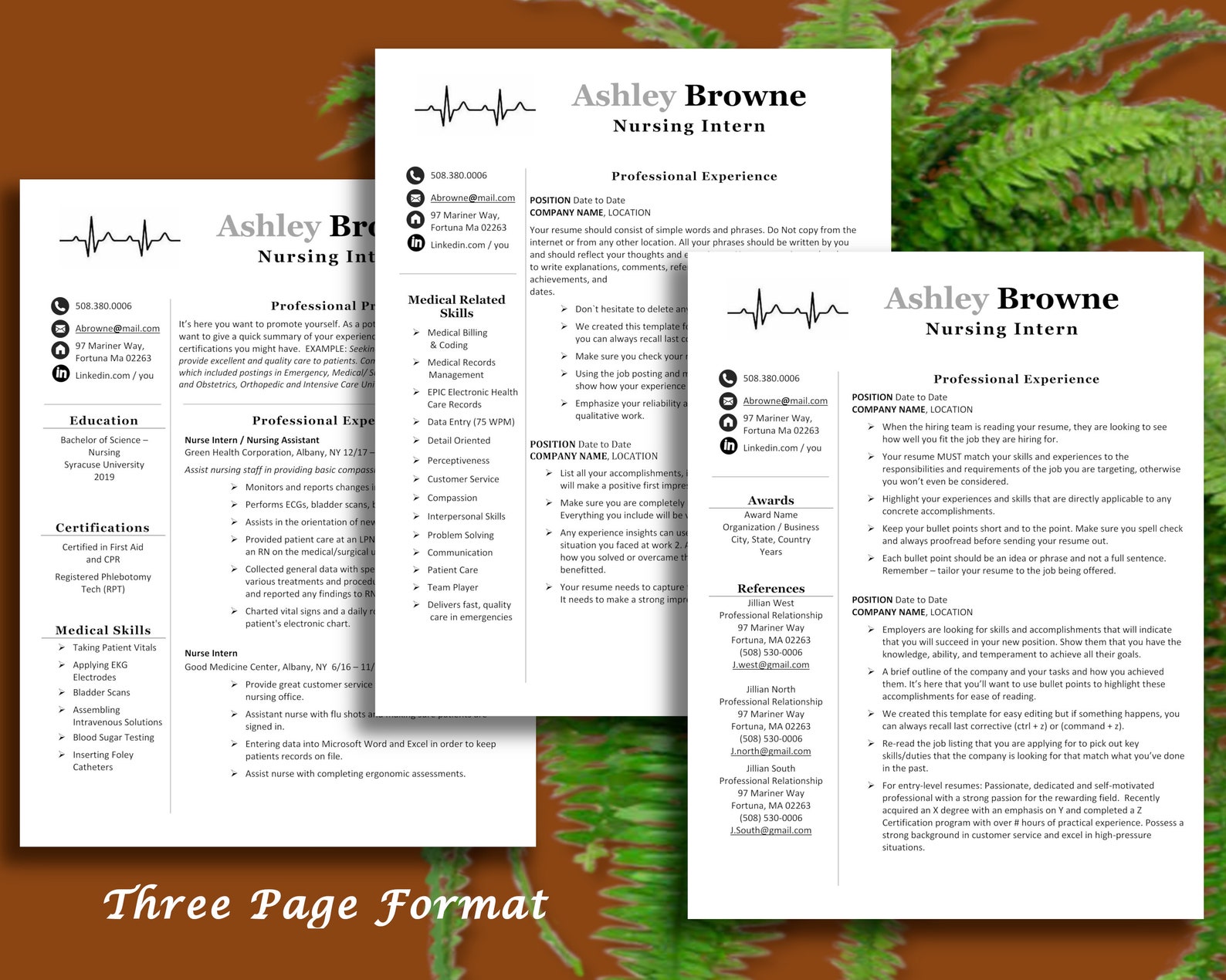 Nursing Intern, Nursing Student Resume Template With Successful Real ...