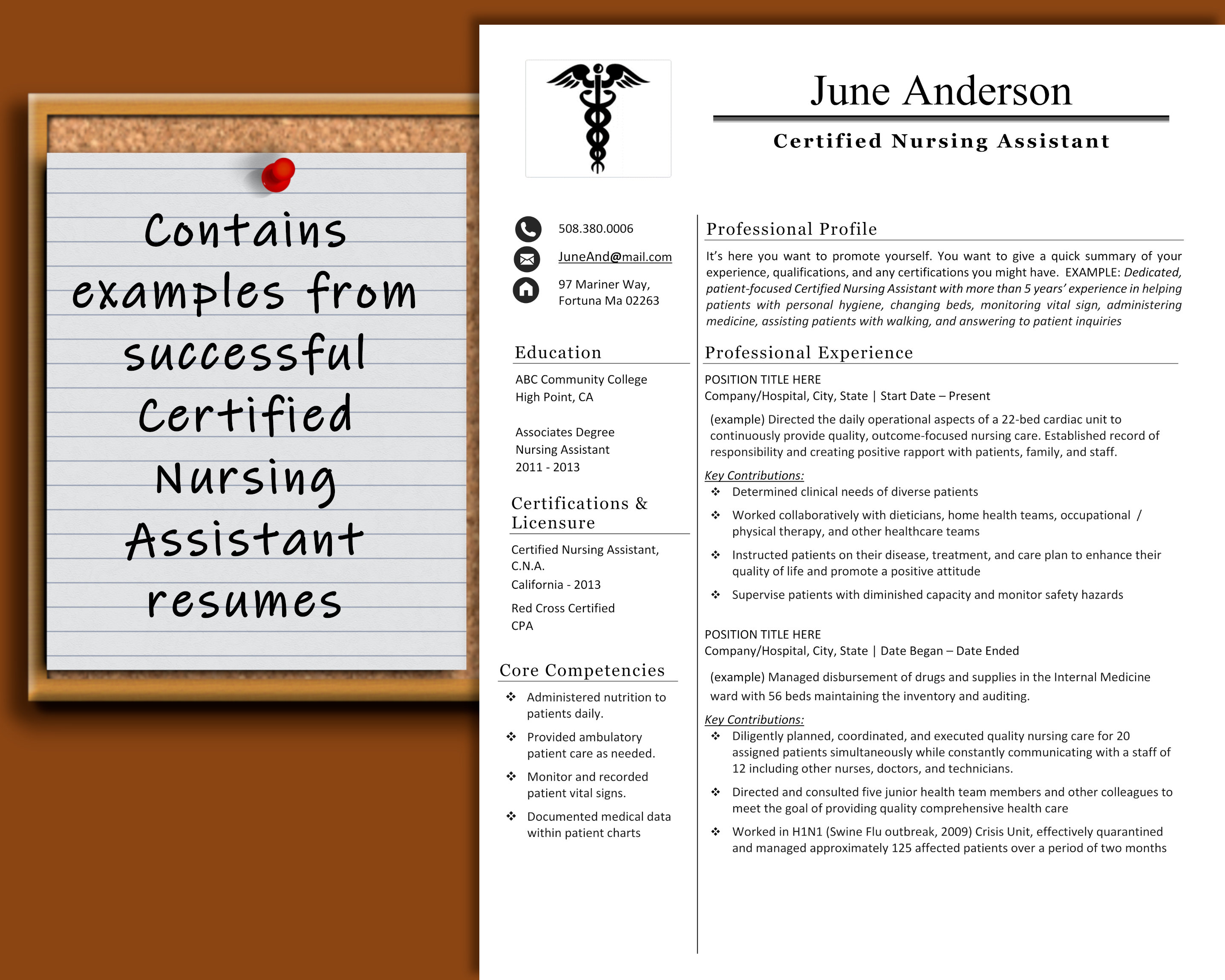 Nursing Assistant Resume Template