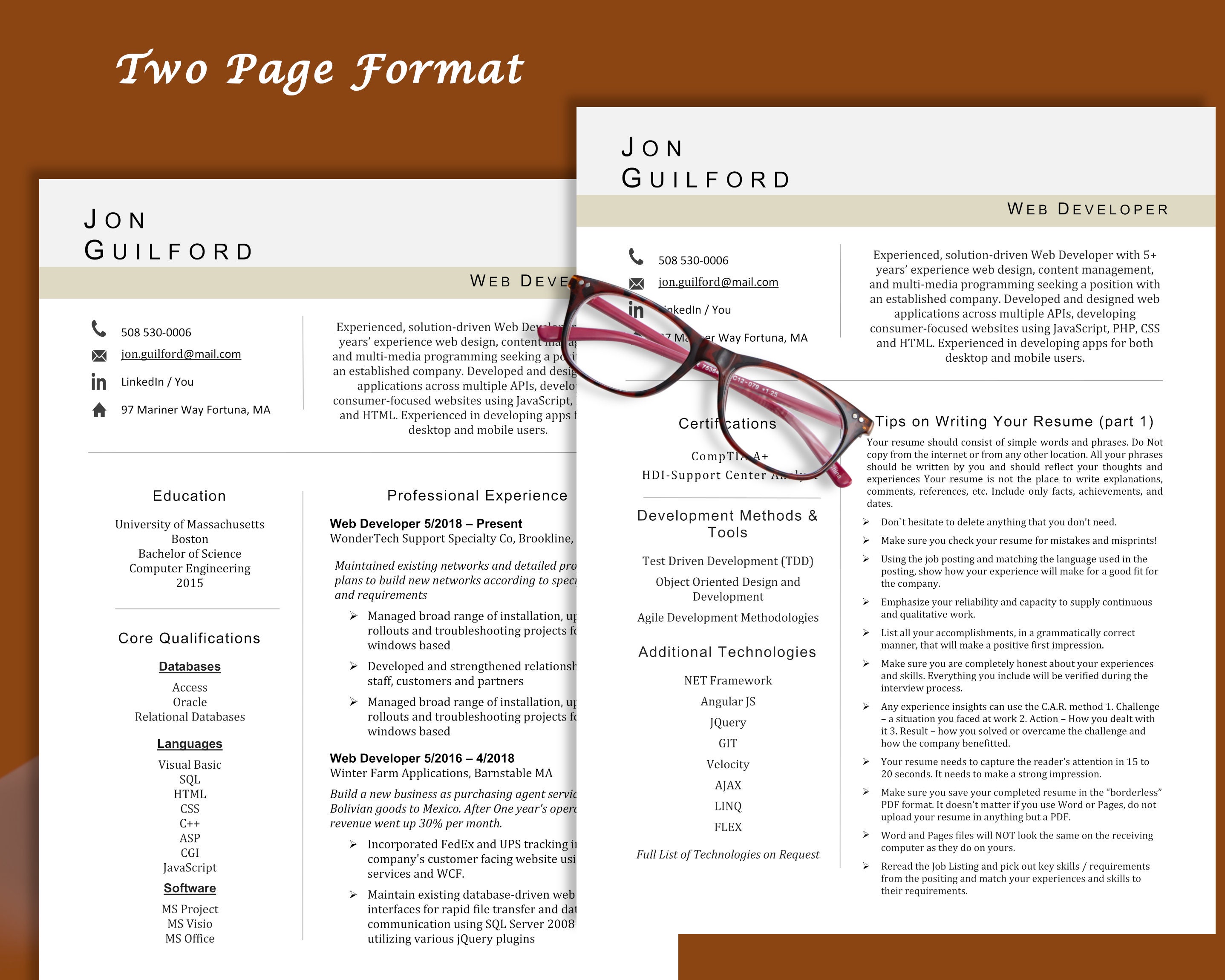 Web Site Developer Resume Template With Successful Real World Resume ...