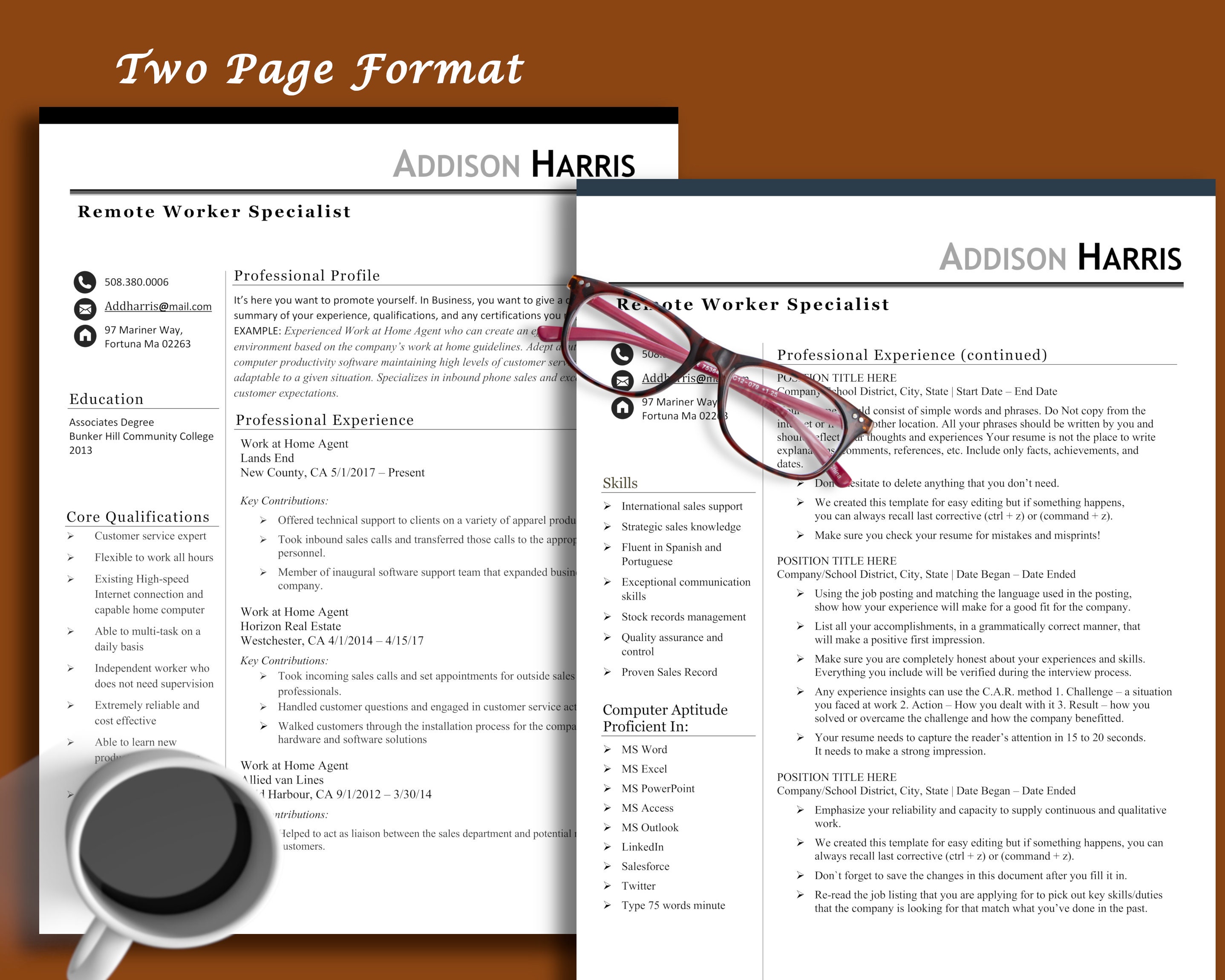 Remote Worker/work From Home Specialist Resume Template With Successful ...