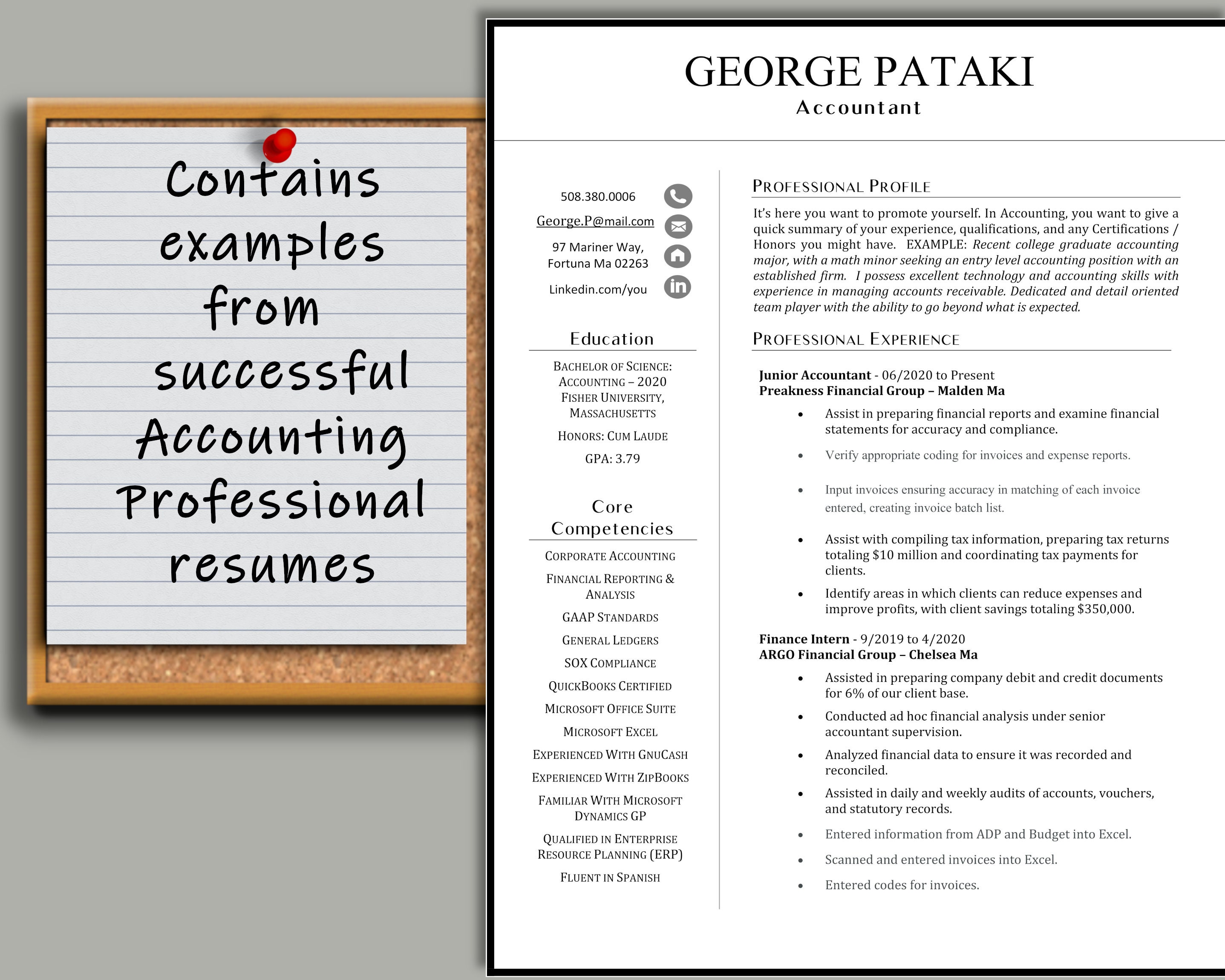 Entry Level Accountant/business Professional Template W Successful Real ...