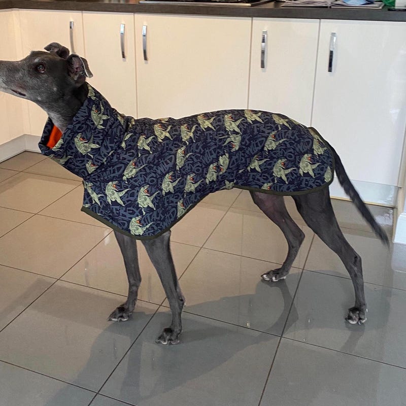 Greyhound Coats - Etsy UK