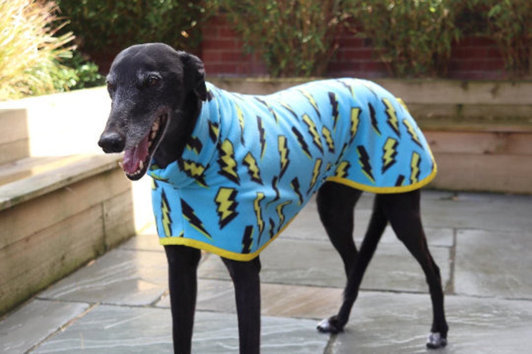 Multiple Sizes Lightning Bolt Flash Print Blue Yellow Fleece Sighthound ...