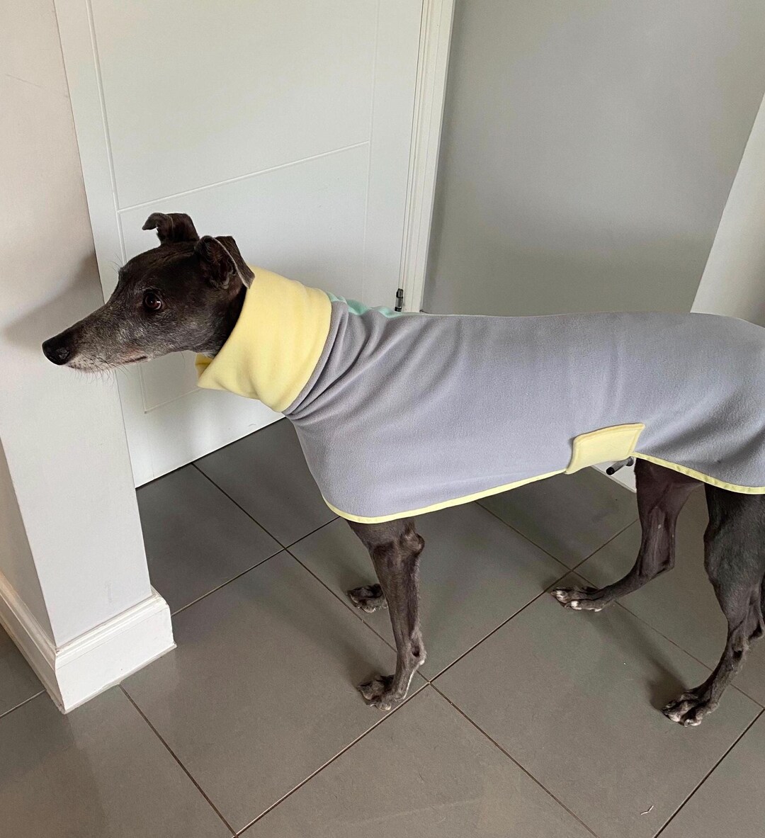 SALE 27/28” Greyhound Fleece Coat , Mixed Colour. - Etsy UK