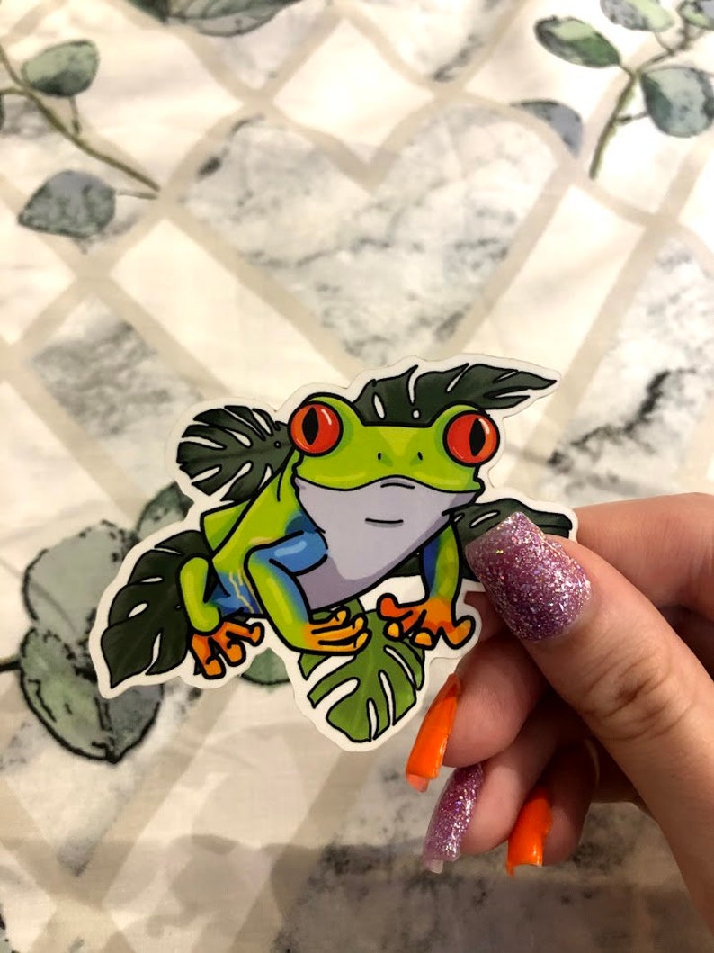 Red Eyed Tree Frog Sticker - Etsy