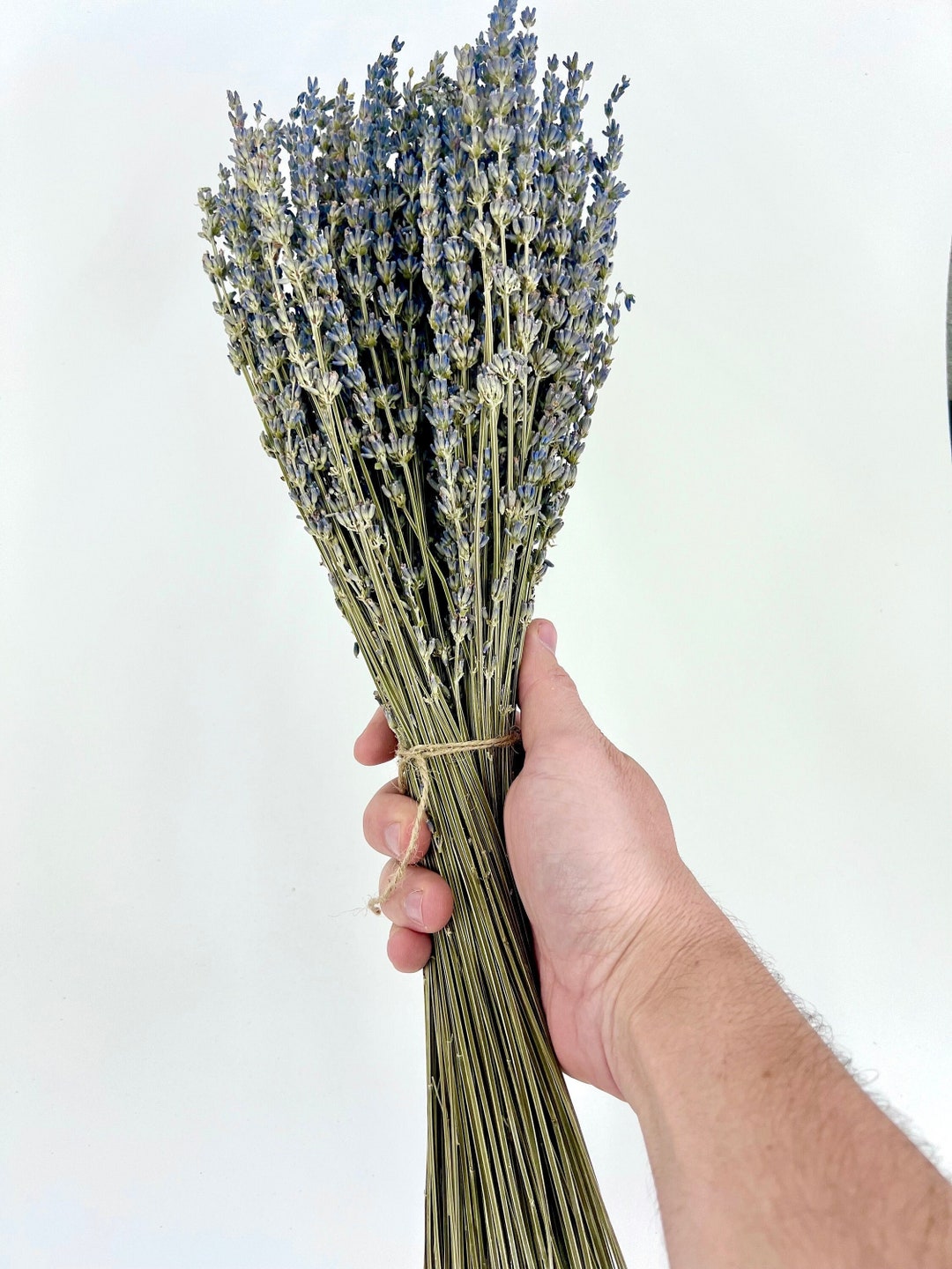 Dried Lavender Bundle, Dried Lavender Plant Bundle, Real USA Grown Fresh Lavender, Farmhouse ...