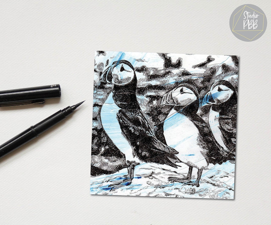 Puffin Card | Birthday, Thank You or Note Card | Hand Drawn Puffin ...