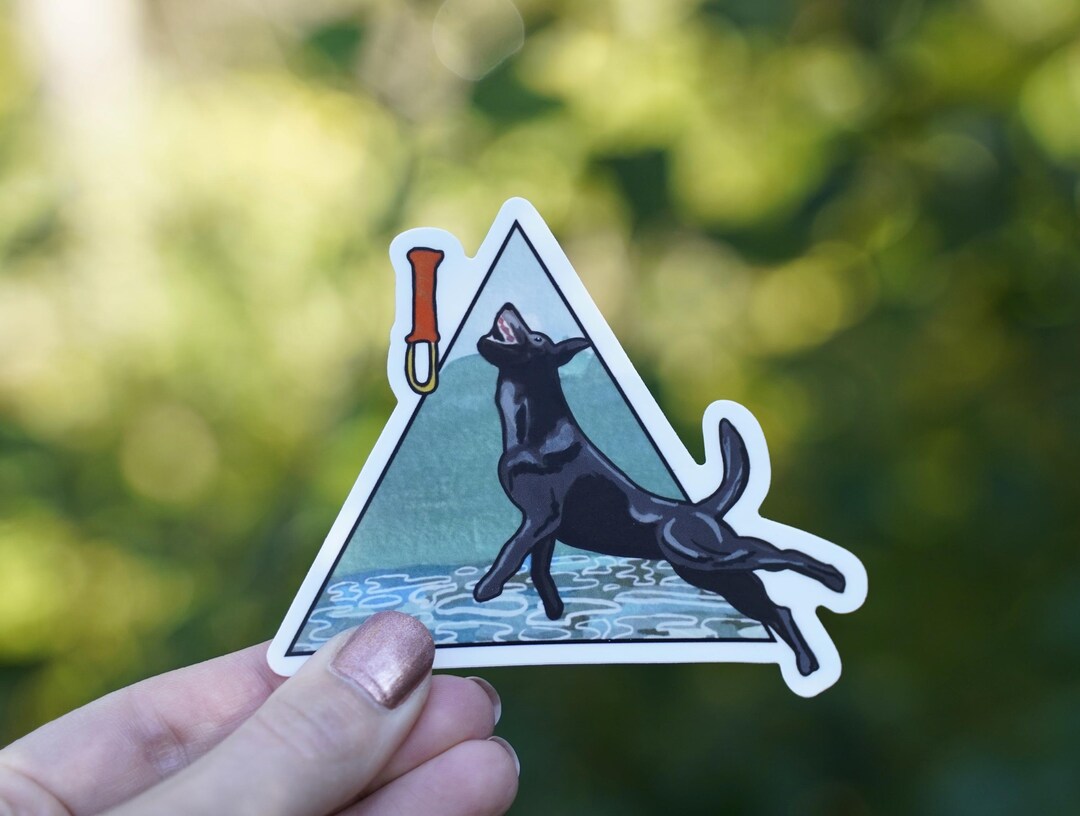 Black Lab Dock Diving Sticker: Waterproof Dog Decal - Etsy