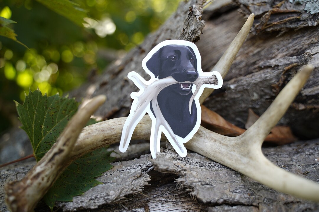 Black Lab Antler Shed Hunting Vinyl Sticker: Matte-finish Decal - Etsy