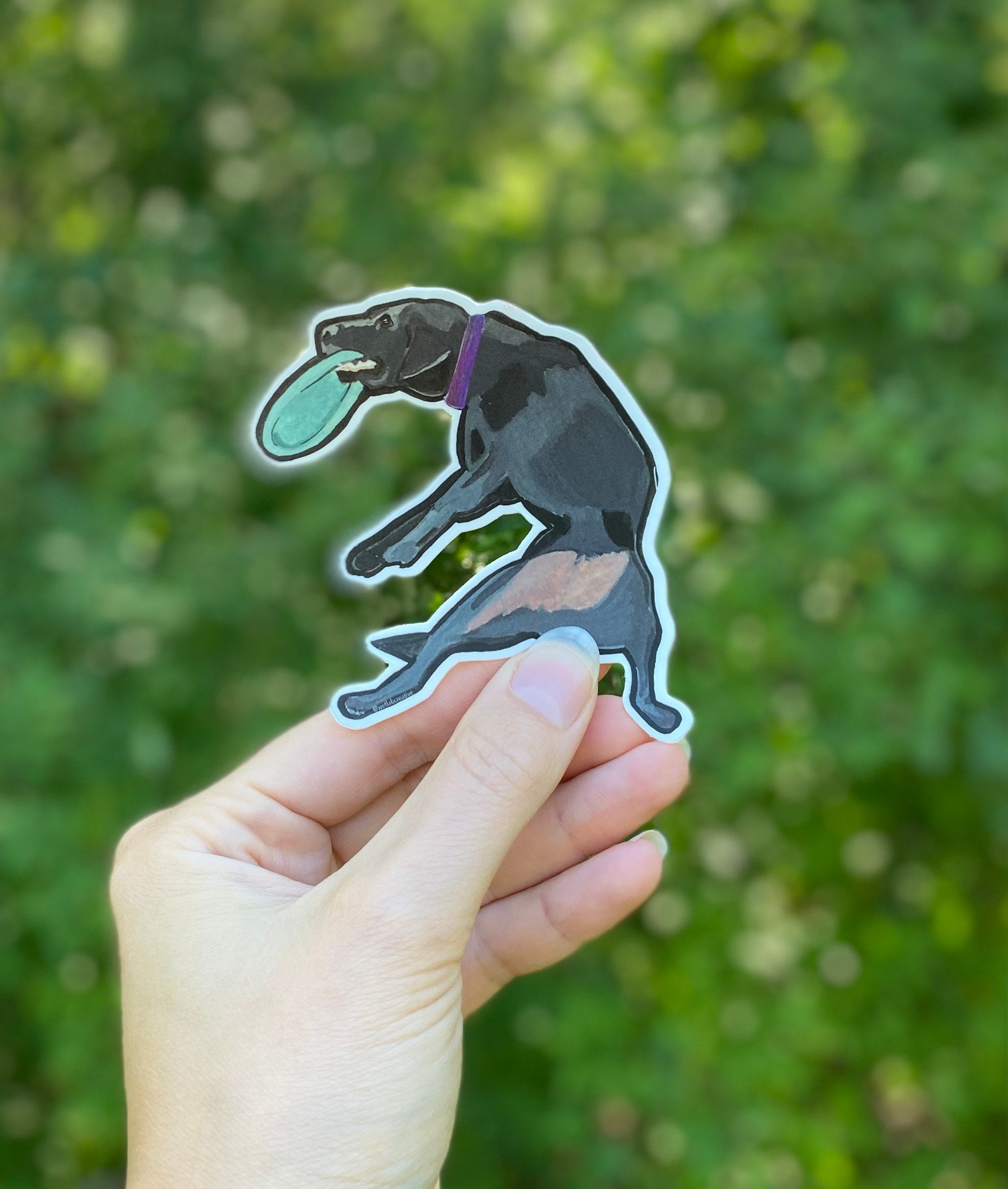 Labrador Retriever Disc Frisbee Fetch 3 Die Cut Vinyl - Etsy