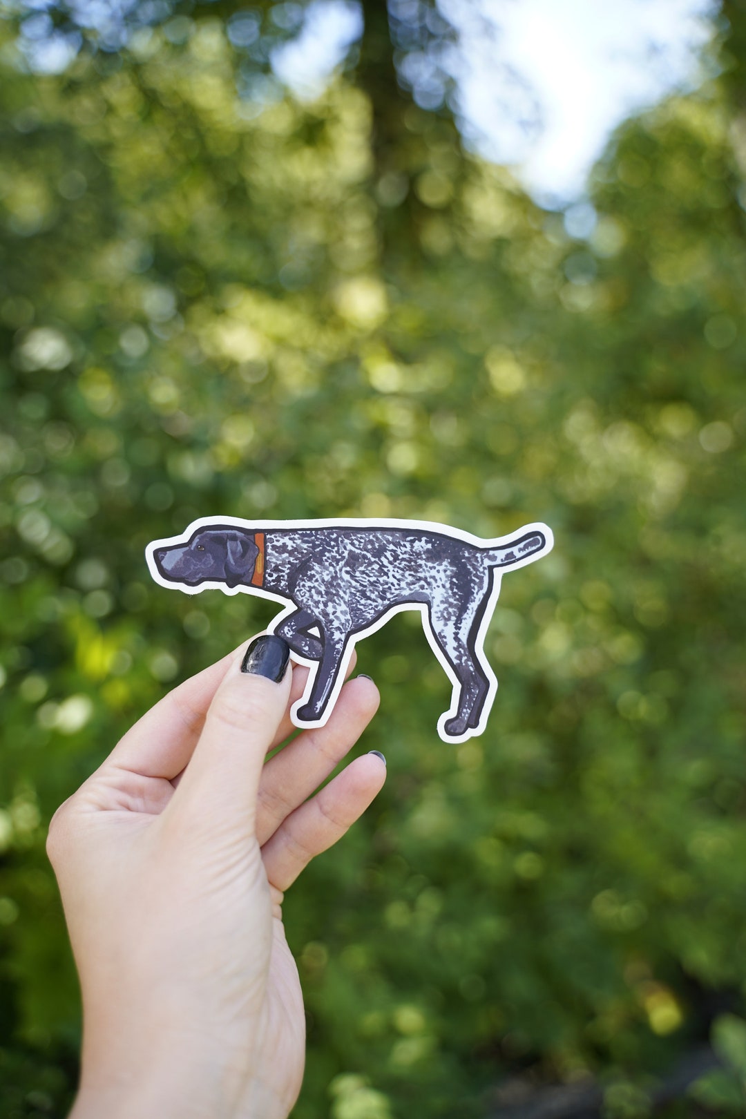 German Shorthaired Pointer Dog Sticker: Black Roan GSP Vinyl Decal - Etsy