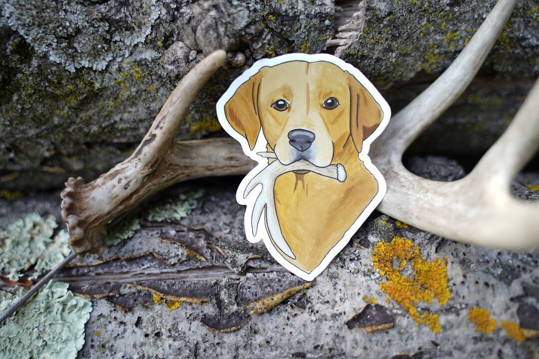 Red Yellow Labrador Retriever Antler Shed Hunting 3" Die Cut Vinyl ...