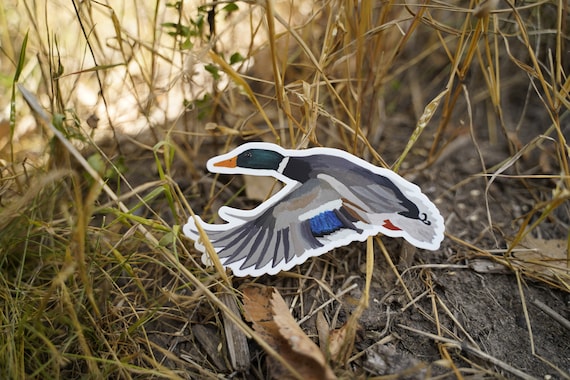 Drake Waterfowl Decals