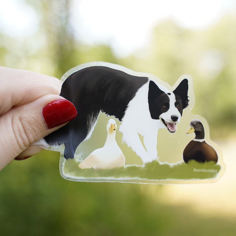 Collie - Etsy