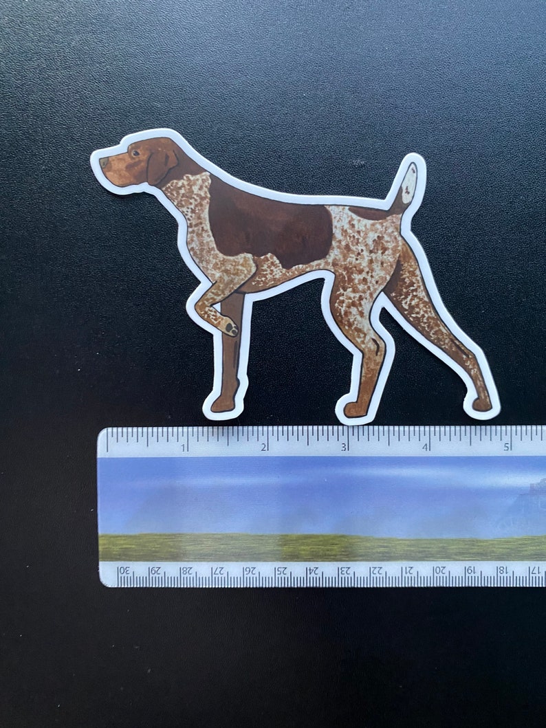 German Shorthaired Pointer Sticker: Liver Roan Dog Breed Vinyl Decal - Etsy