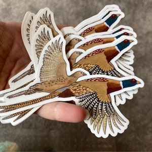 Ring Neck Pheasant Sticker: Durable Matte-finish Vinyl Decal - Etsy
