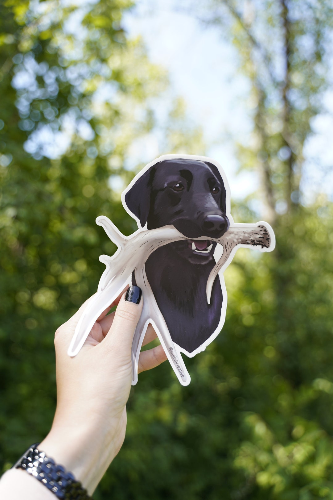 Black Lab Antler Shed Hunting Vinyl Sticker: Waterproof Dog Decal - Etsy