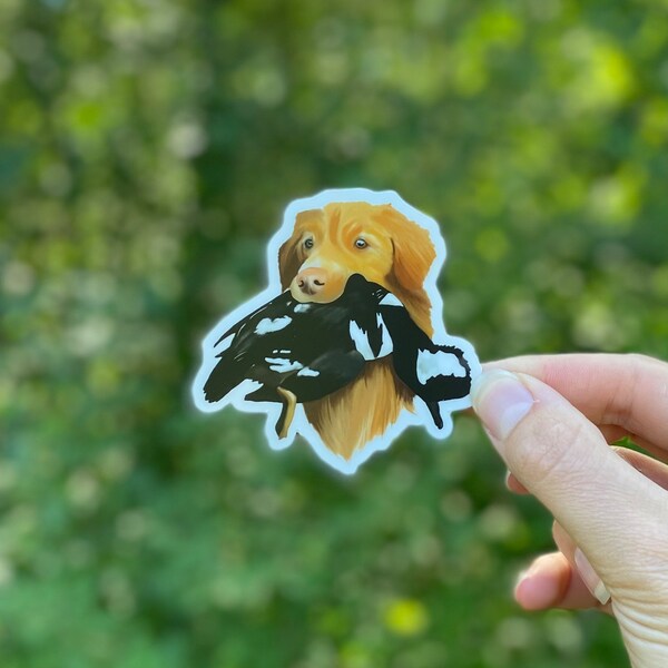 Tolling Retriever - Etsy