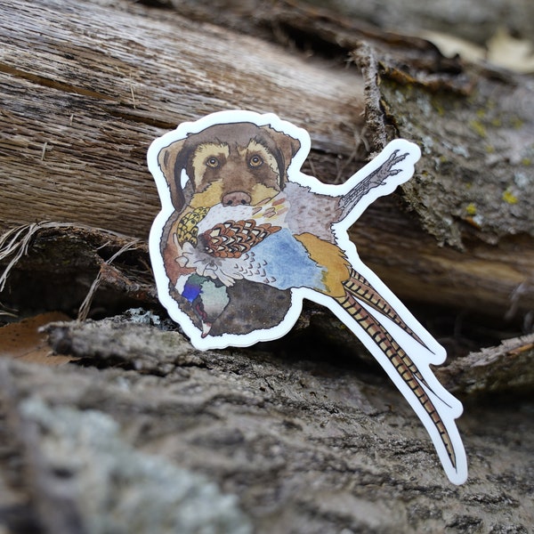 German Wirehaired Pointer Decal - Etsy