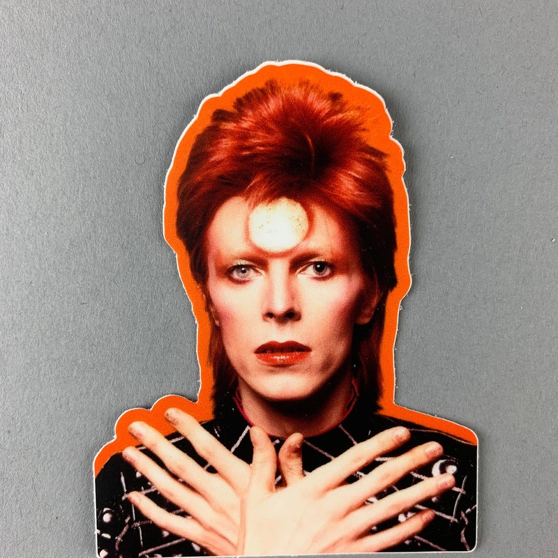 David Bowie Sticker - Etsy