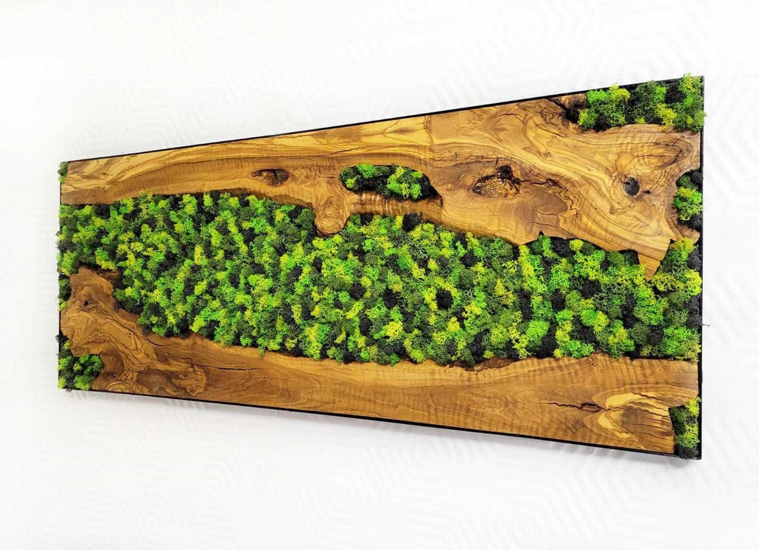 Moss Frame, Preserved Moss Wall Decor - Etsy