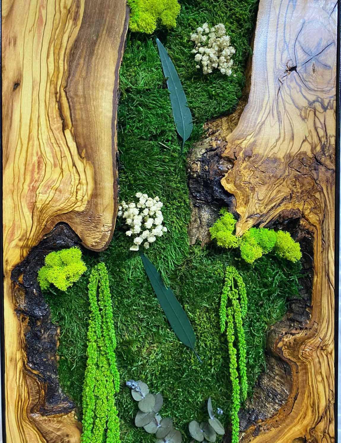Wood Moss Wall Art Moss Art Wall Decor Preserved Moss Art - Etsy Canada