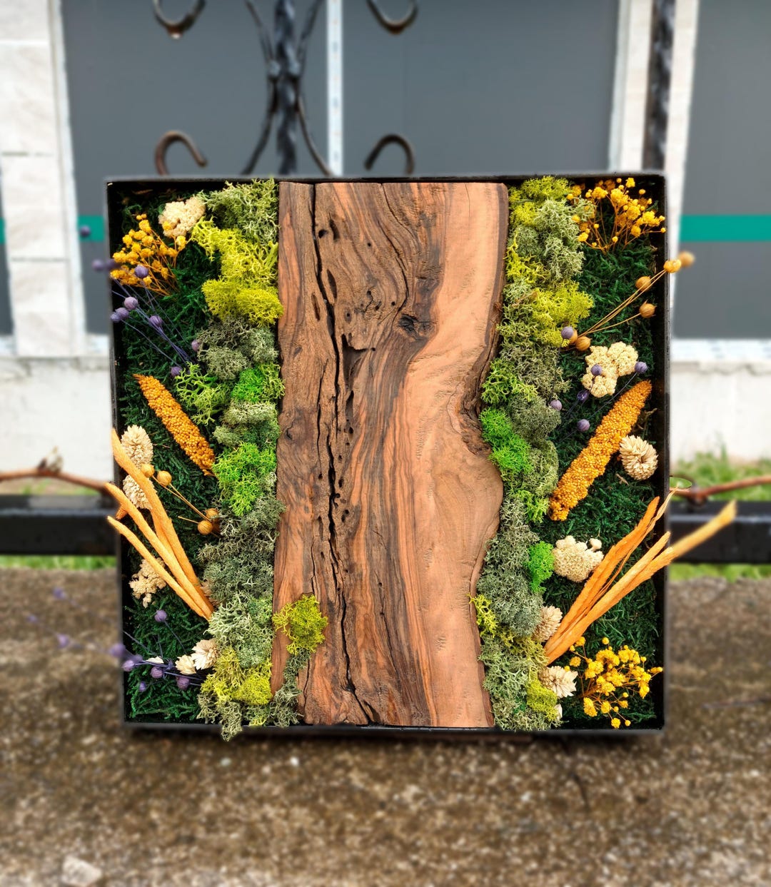 Wood Moss Art, Square Moss Wall Decor, Square Wall Art Frame, Real ...