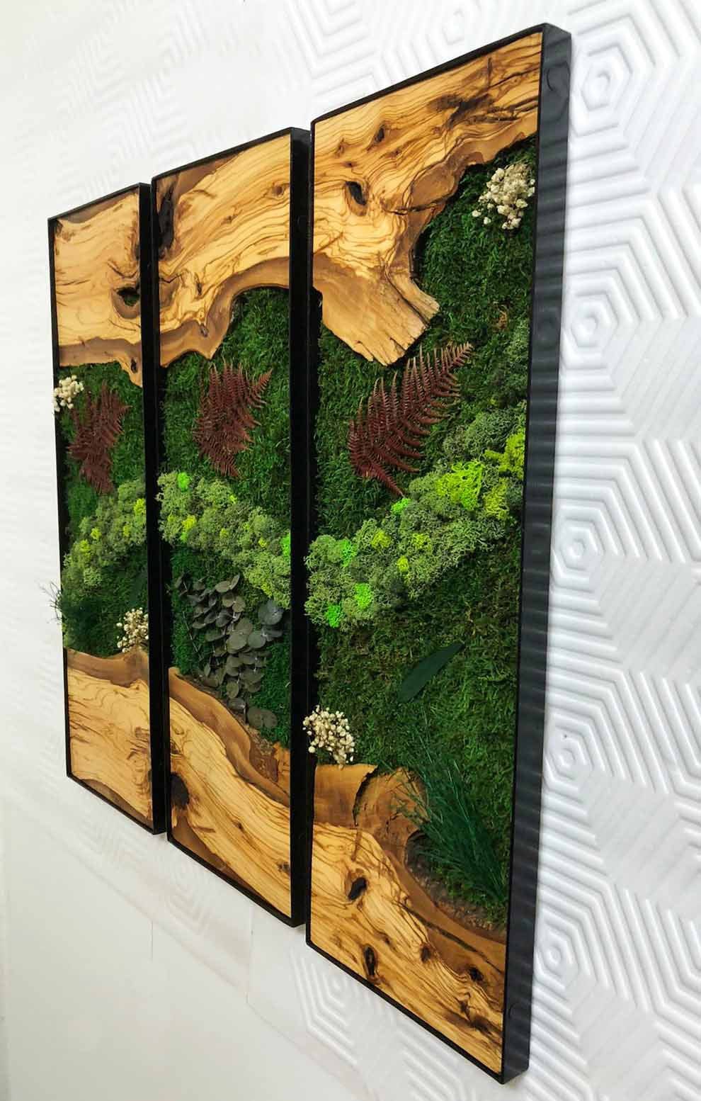 Wood Moss Wall Art 3 Pcs, Living Wall Art Moss, Moss Decor for Home - Etsy