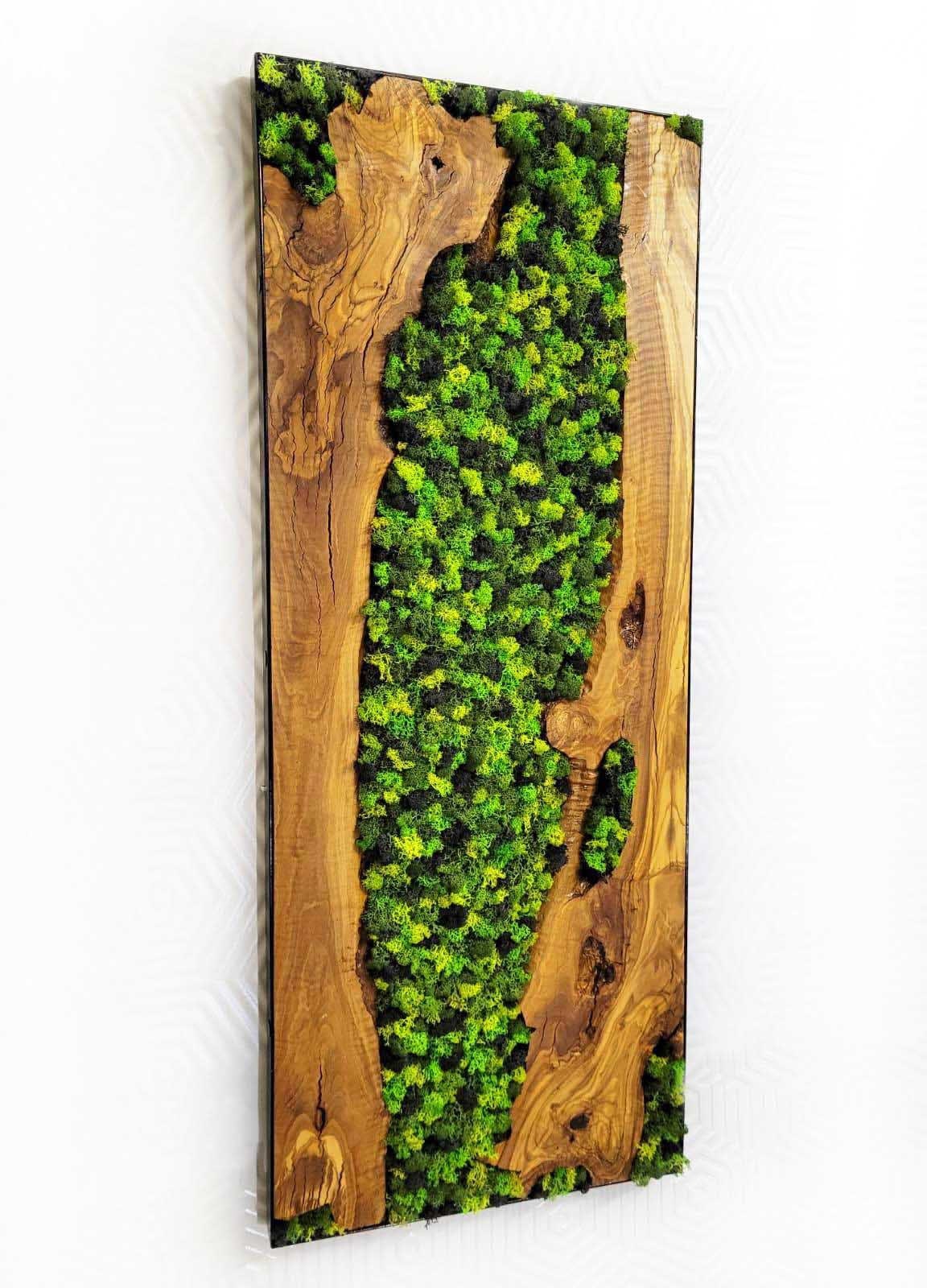 Moss Frame, Preserved Moss Wall Decor - Etsy