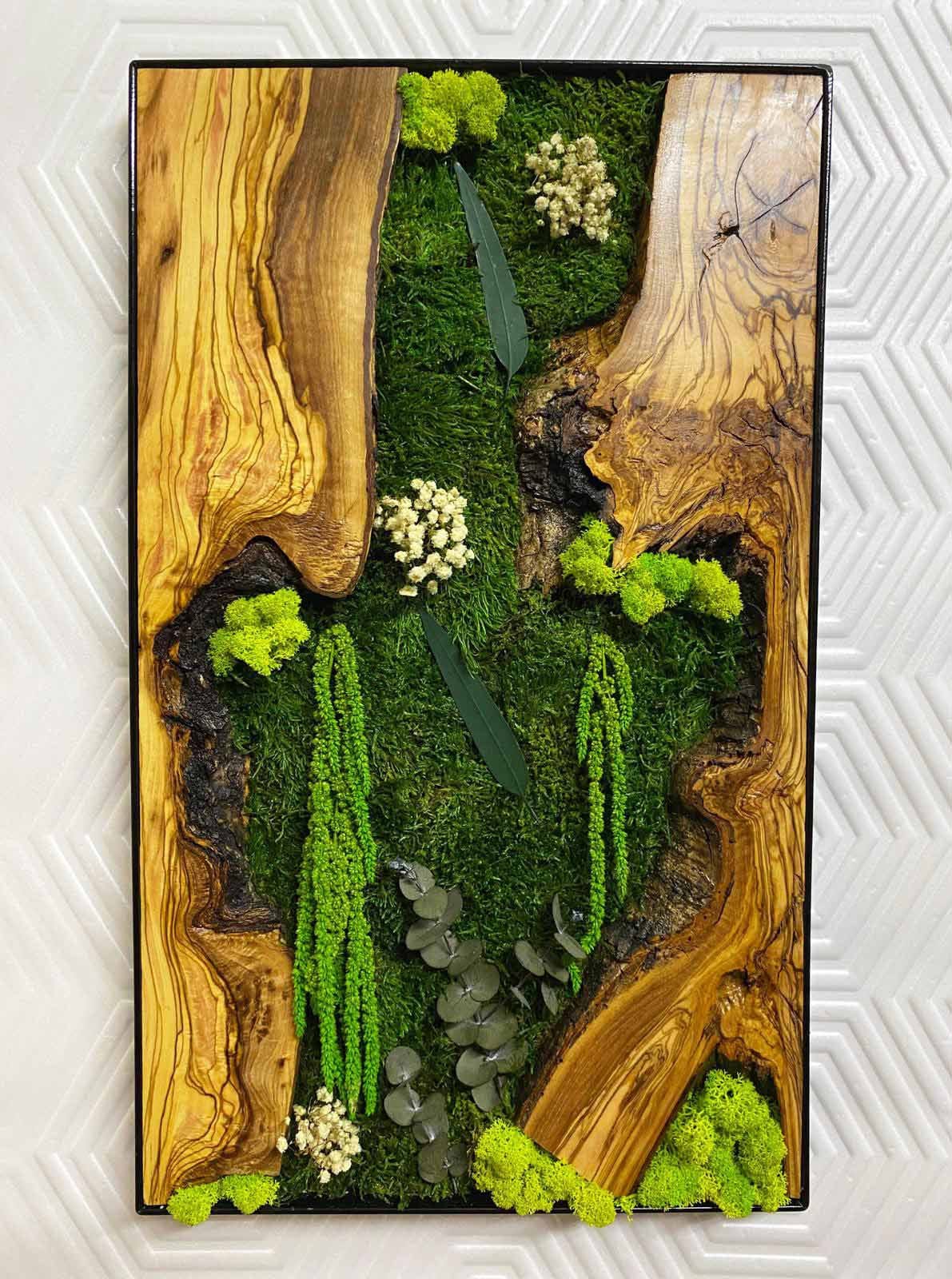 Moss Wall Art With Wood, Living Wall Art, Preserved Moss Art - Etsy Canada