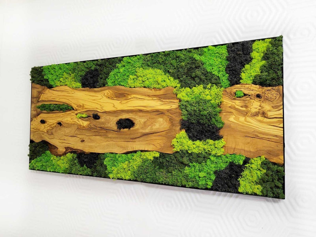 Interior Moss Wall Art, Frame Wall Decor Living Room, Preserved Plant Wall Art - Etsy