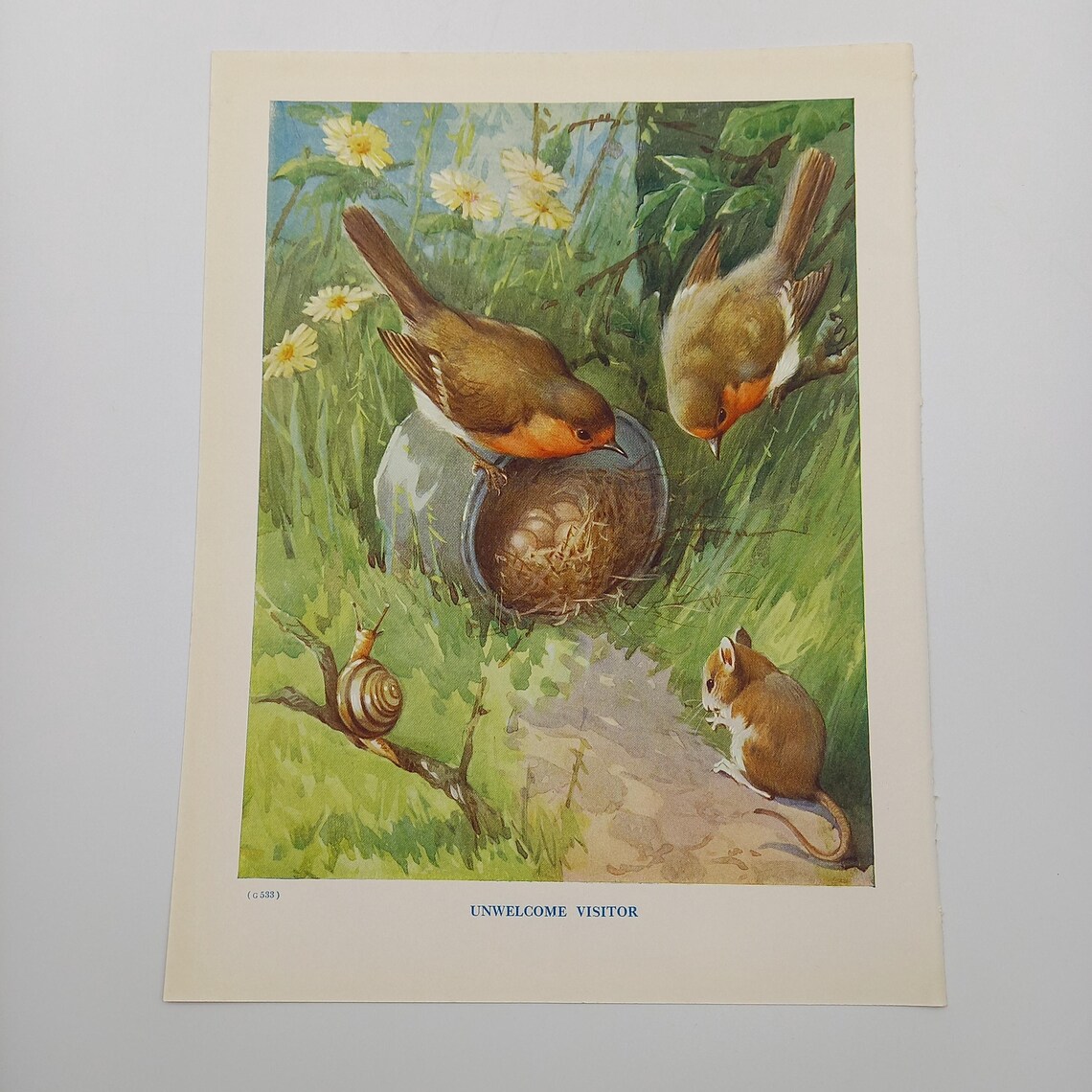 Vintage Print - Unwelcome Visitor, From a 1930s Children's Book ...