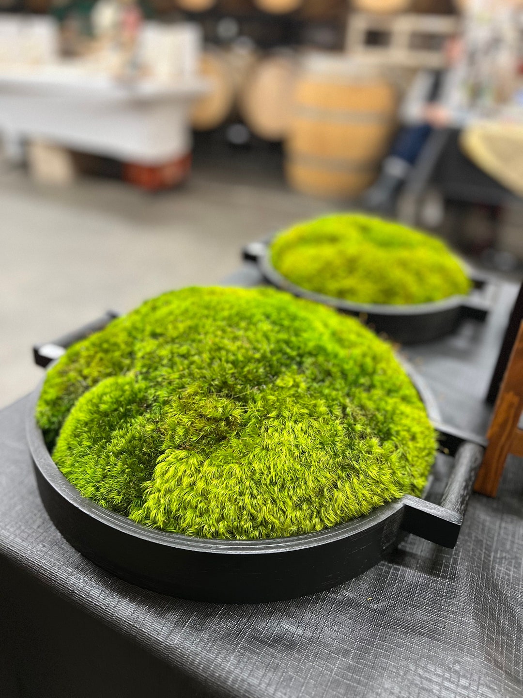 Moss Wooden Trays - Etsy