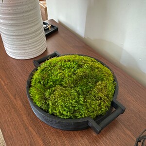 Moss Wooden Trays - Etsy