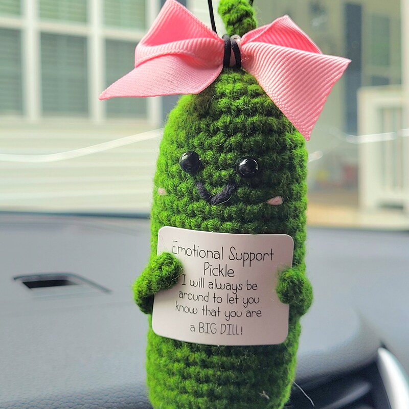 Emotional Support Pickle - Etsy