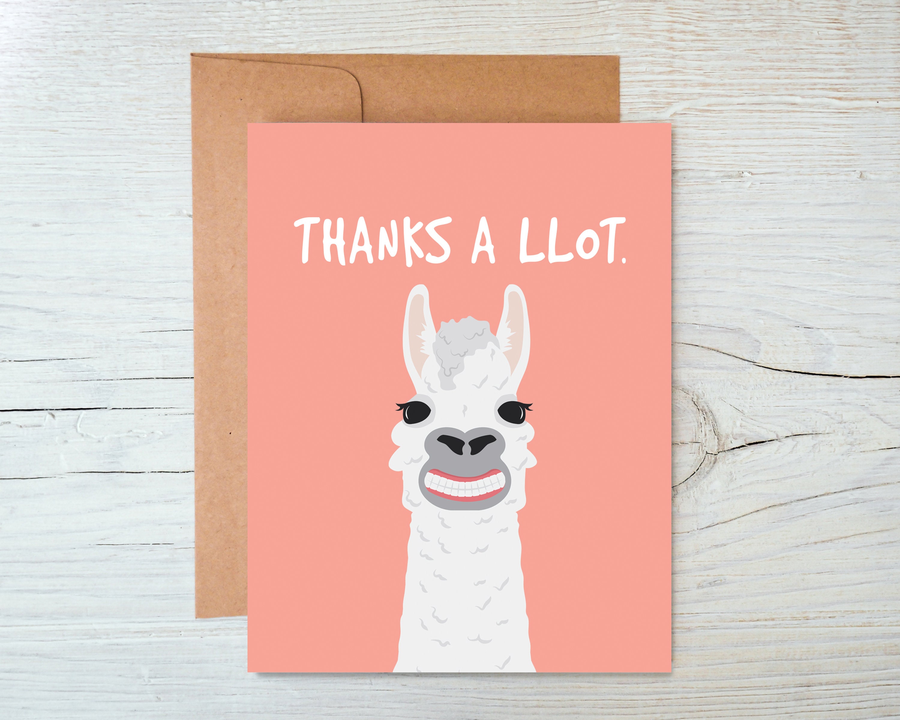 Thank You Llama