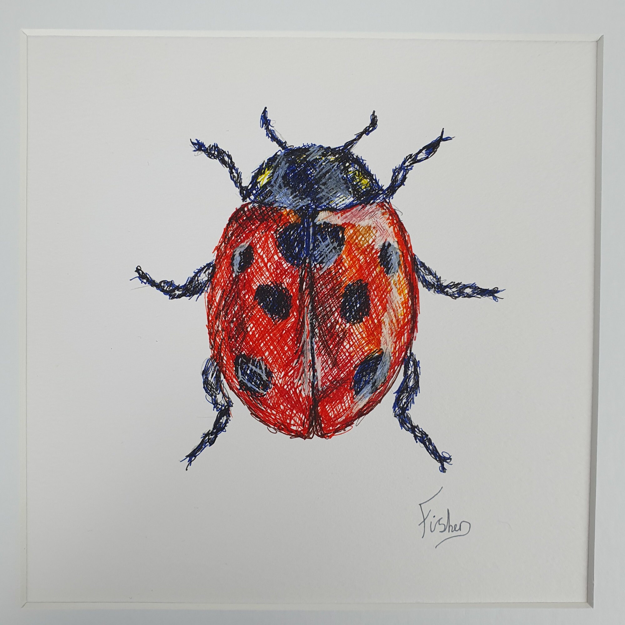 Ladybird original drawing, Ladybird, Pen and Ink Art, Insect art ...