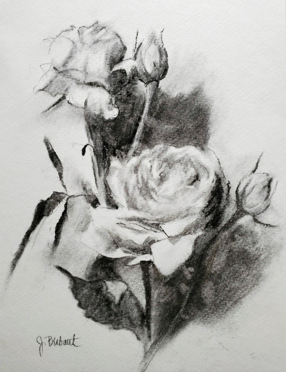 Charcoal Sketches Of Roses