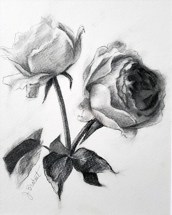 Mara Roses 9 X 12 Original Charcoal Drawing - Etsy