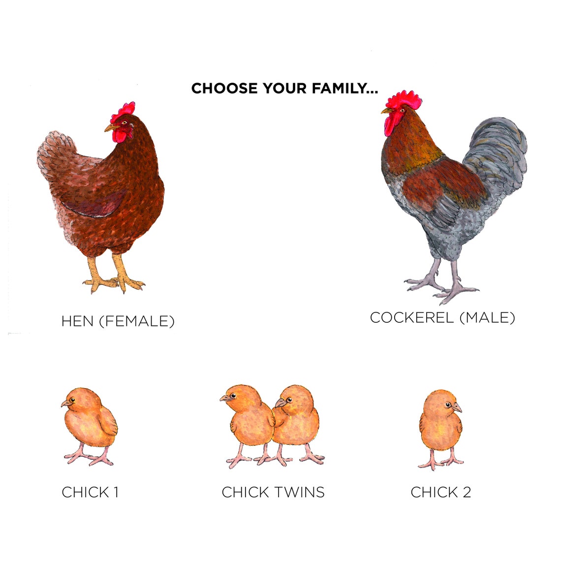 Personalised Chicken Family Print / Chickens / Hen / Cockerel / Chicks ...