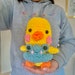 Duck & Frog Floatie Plushie / Amigurumi Animal Stuffy / Crochet Duck - Etsy