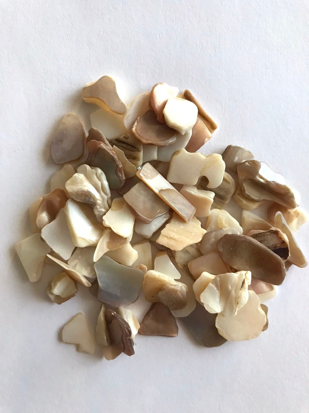 30 g Freeform Natural Shell Stones Flakes Chips - DIY Decoration Nail ...