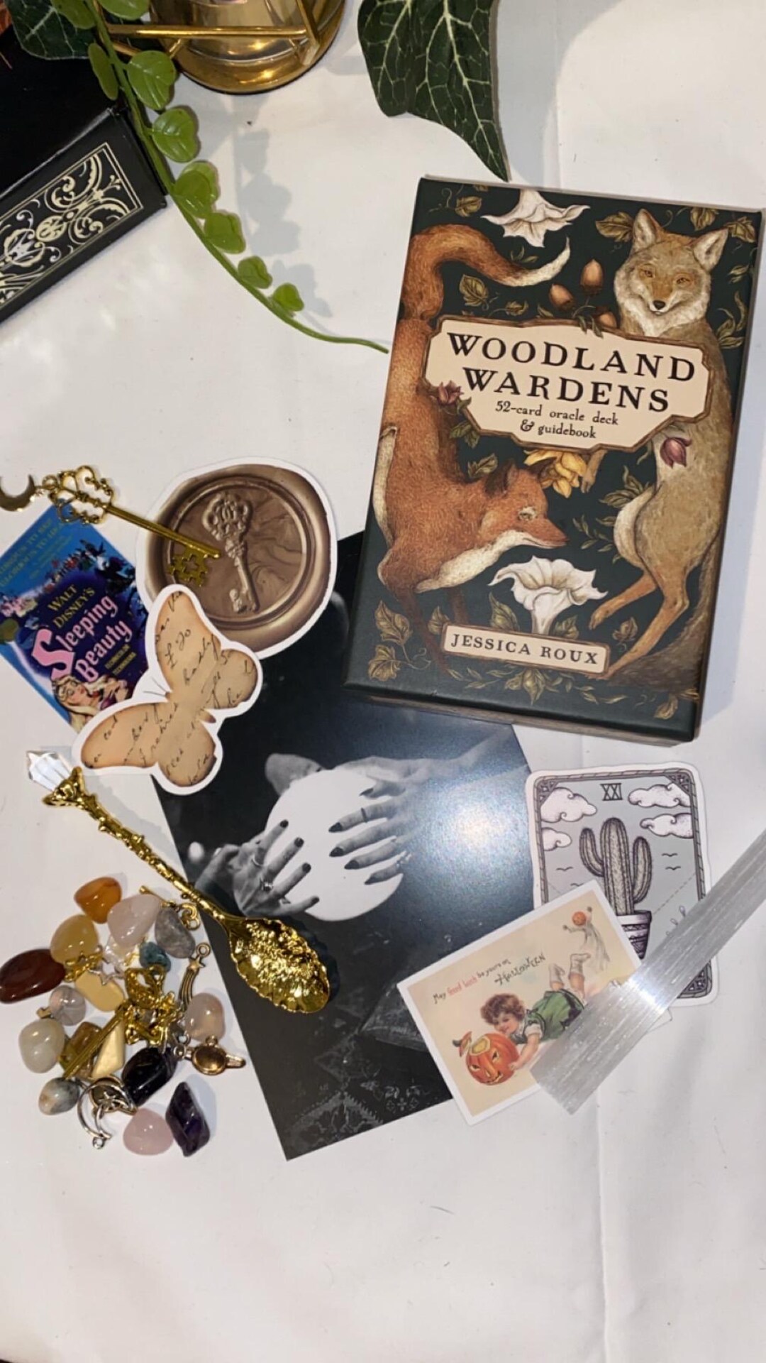 Blind Date With an Oracle or Tarot Deck - Etsy